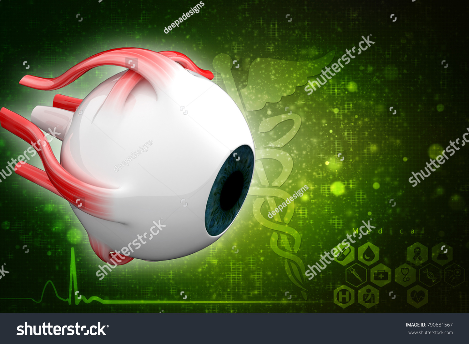 3d Rendering Human Eye Structure Stock Illustration 790681567 ...