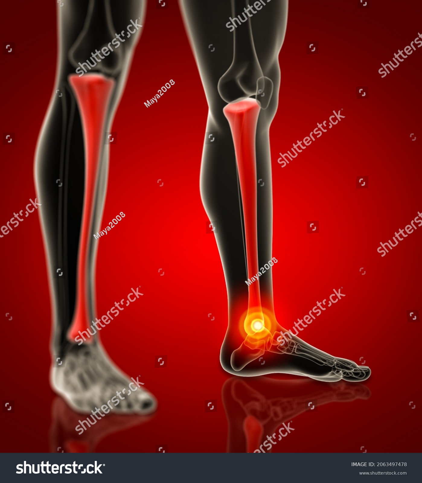 3d Rendering Human Tibia Side View Stock Illustration 2063497478