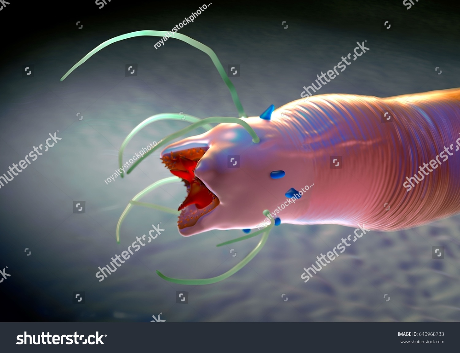3d Rendering Nematode Worm Stock Illustration 640968733