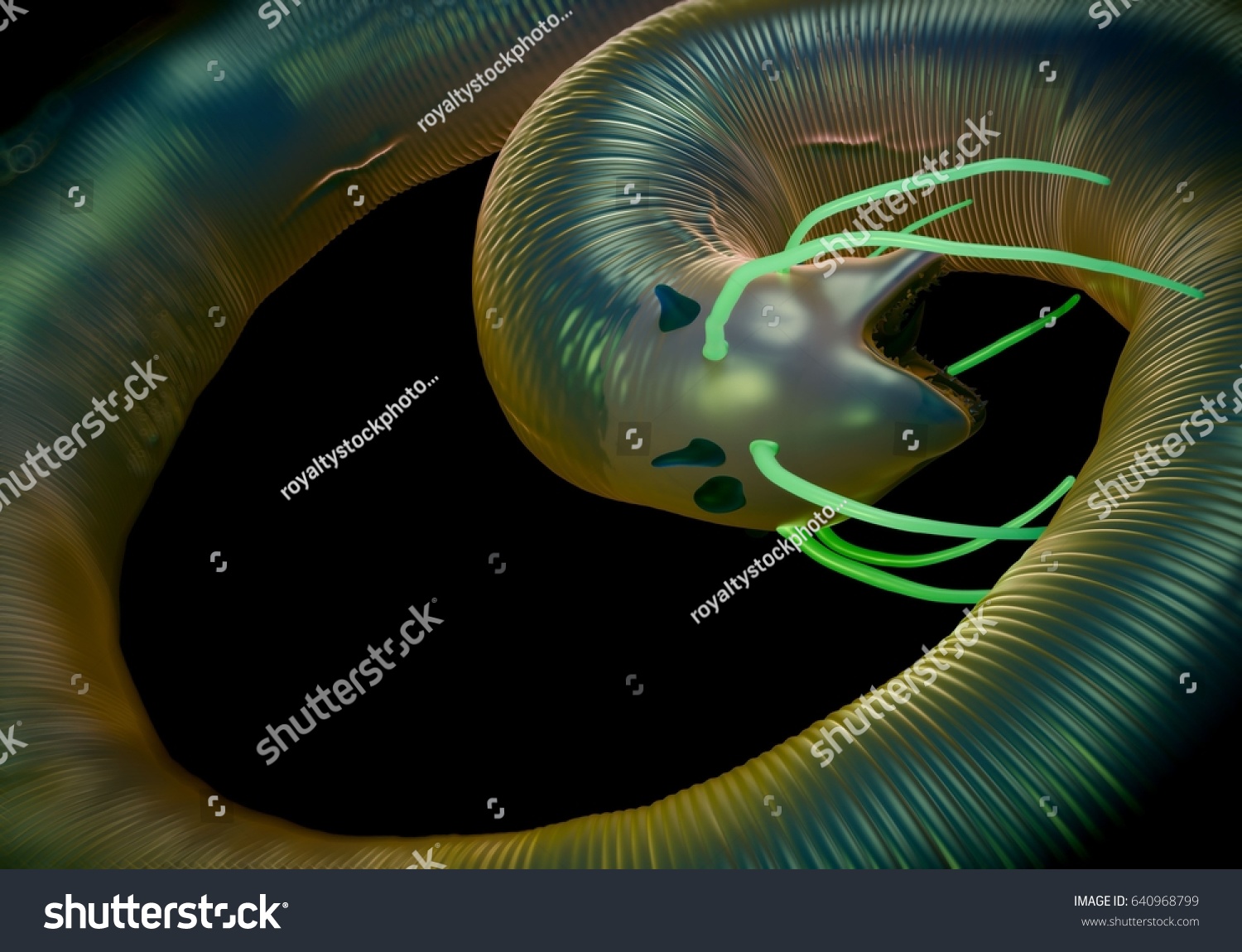3d Rendering Nematode Worm Stock Illustration 640968799 | Shutterstock