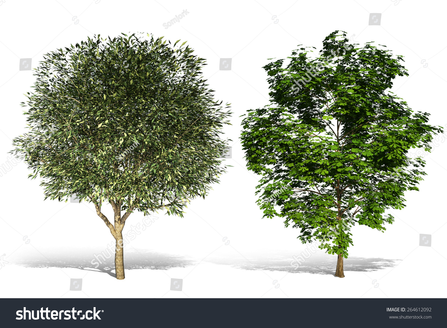 3d Tree Render On White Background: ภาพประกอบสต็อก 264612092