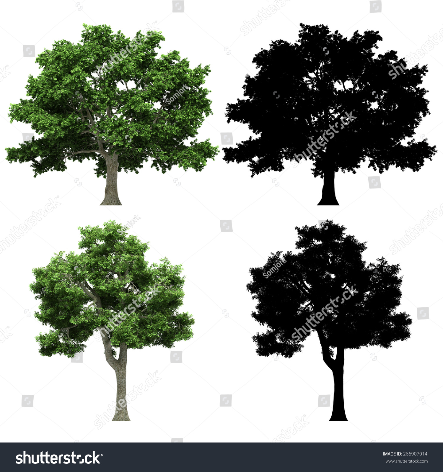3d Tree Render On White Background Stock Photo (Edit Now) 266907014