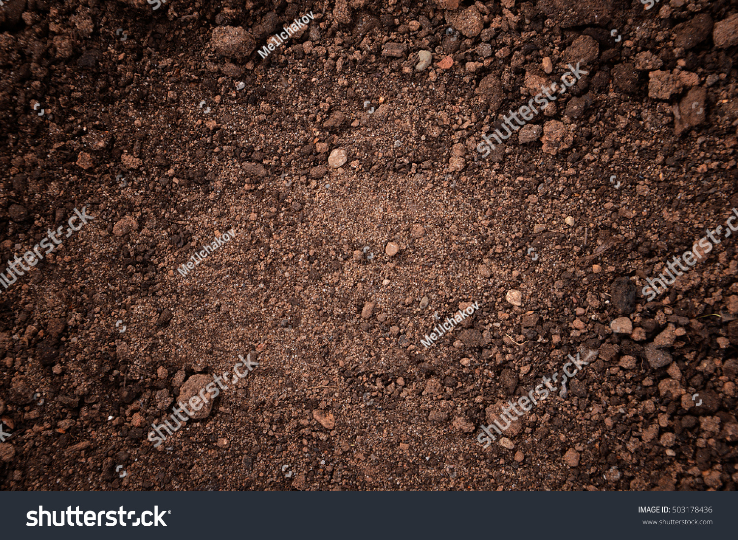 Ground Texture Stock Photo 503178436 | Shutterstock