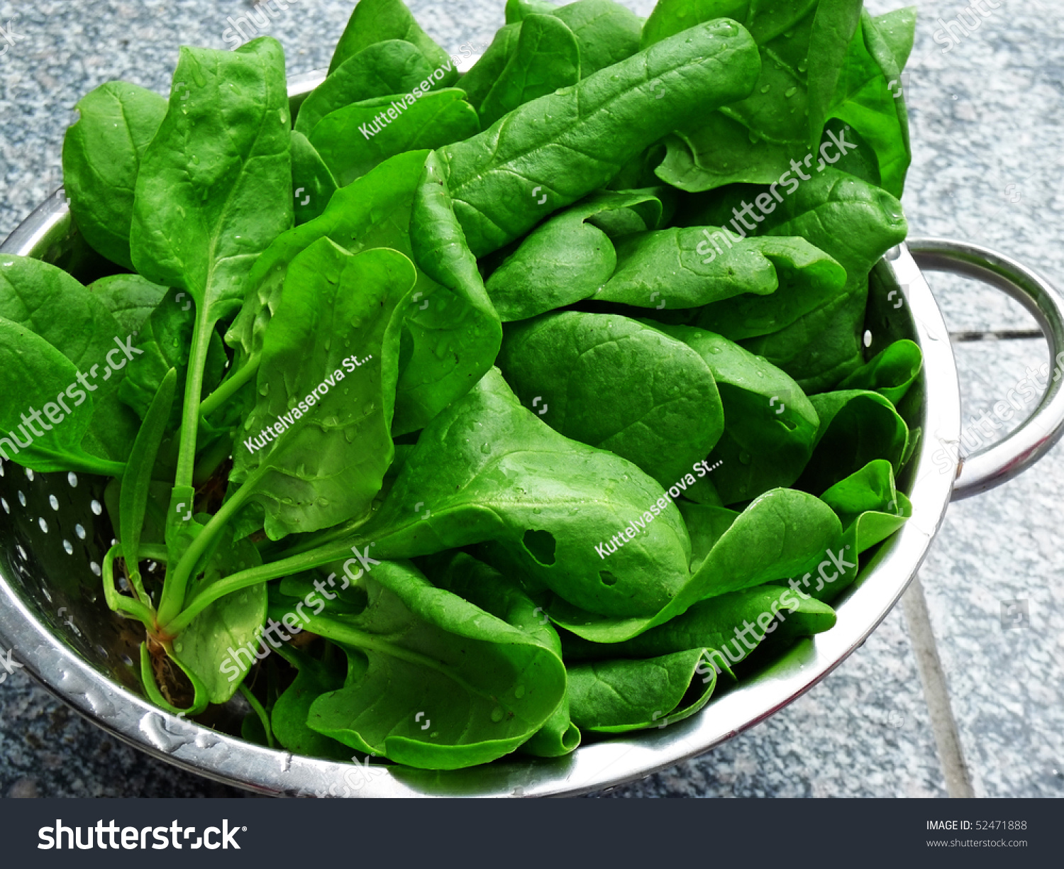 Spinach Stock Photo 52471888 : Shutterstock
