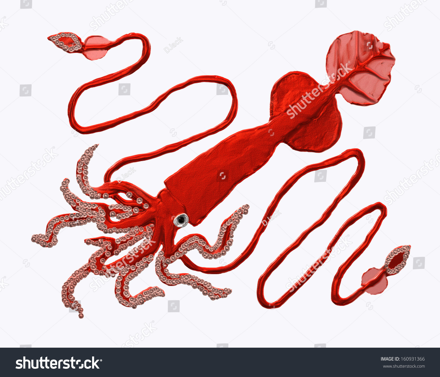 Leaf Tail Squid Stock Illustration 160931366 | Shutterstock