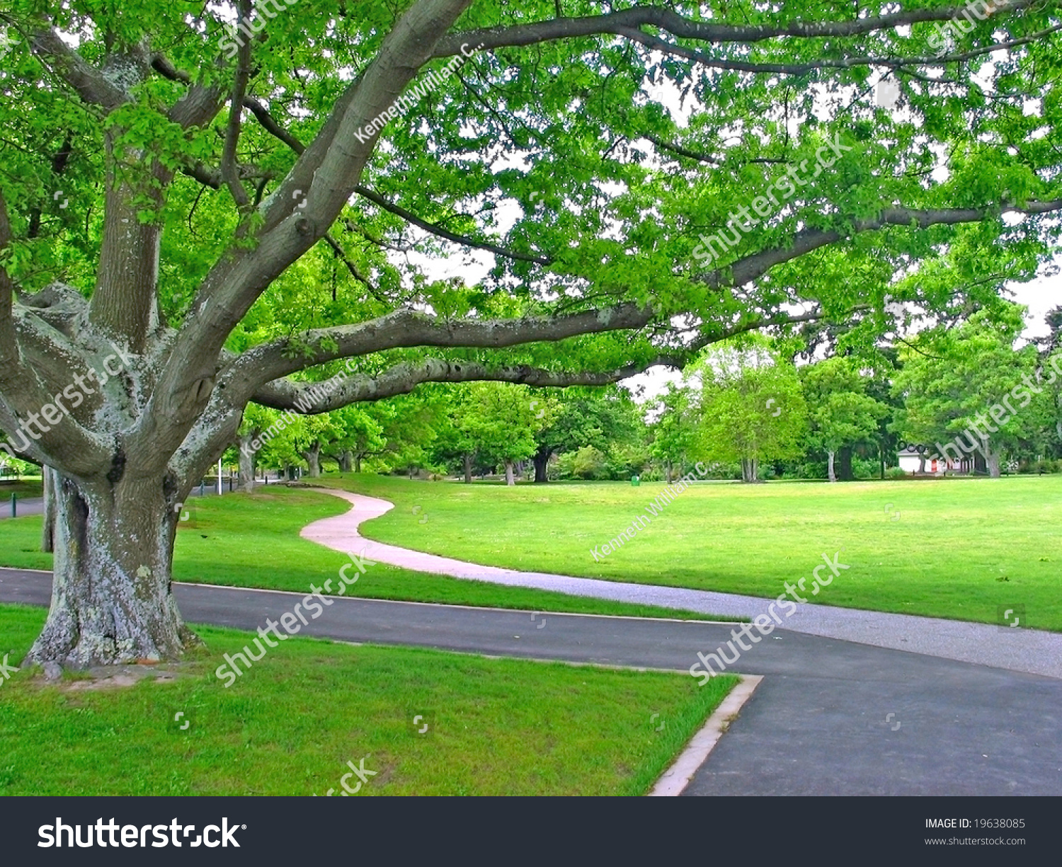 A Winding Path Stock Photo 19638085 : Shutterstock