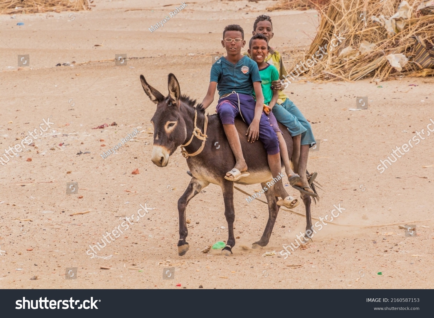 Abri Sudan February 26 2019 Local Stock Photo 2160587153 | Shutterstock Abri Sudan February 26 2019 Local Stock Photo 2160587153 | Shutterstock