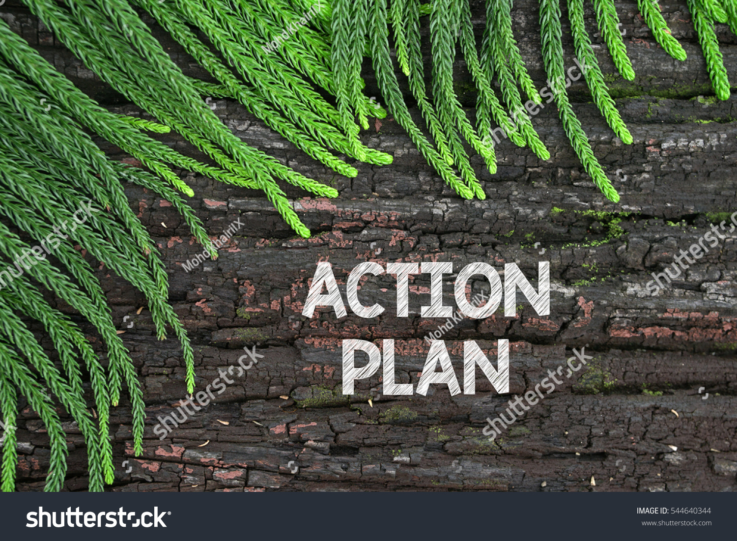 Action Plan Stock Photo (Edit Now) 544640344