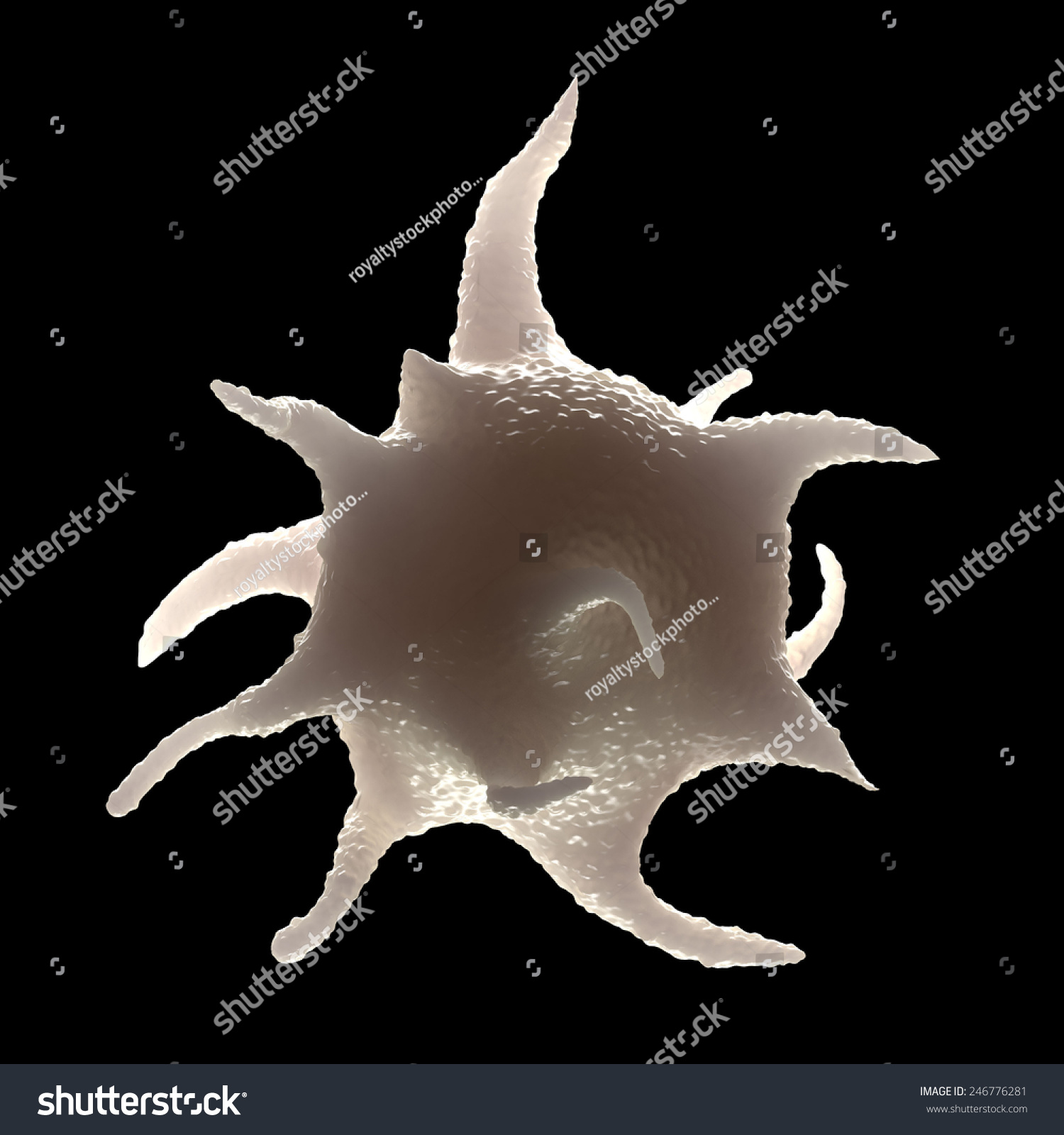 Activated Platelets Artwork Stock Illustration 246776281