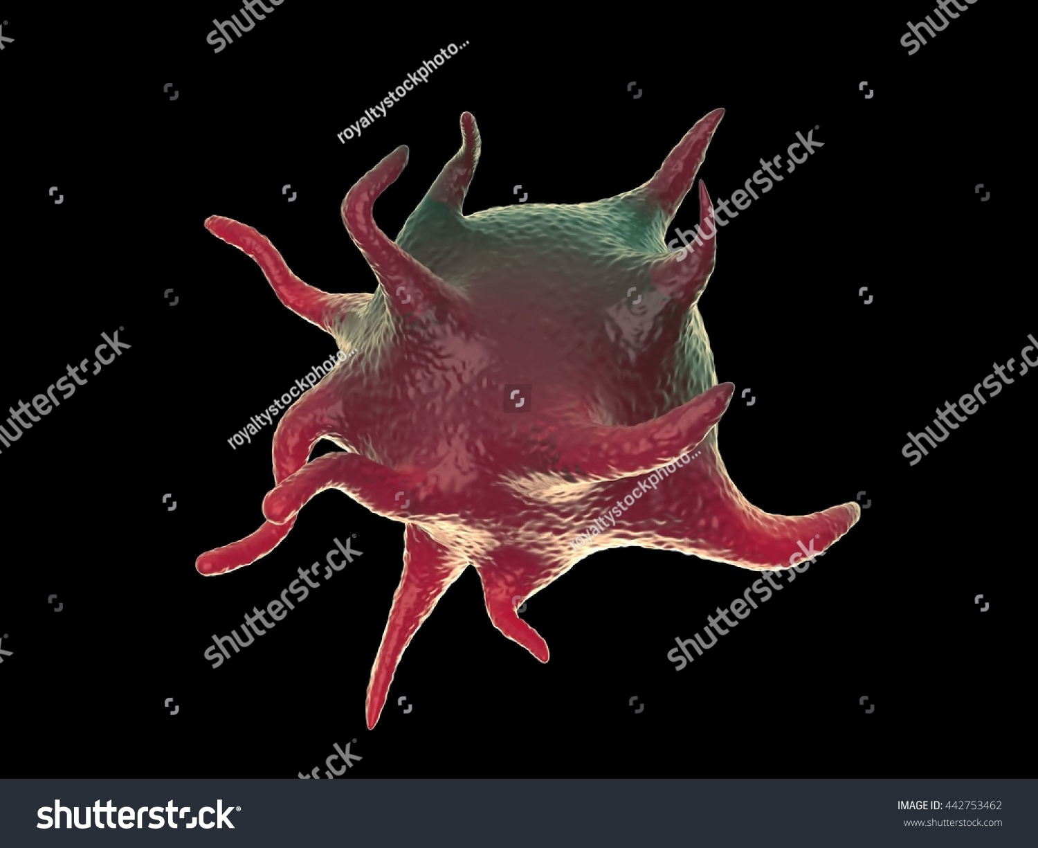 Activated Platelets 3d Rendering Stock Illustration 442753462