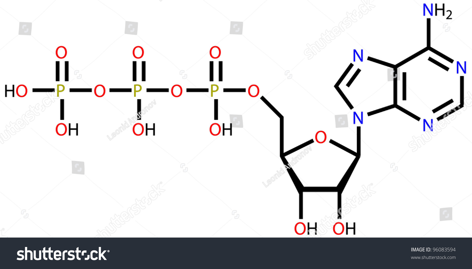Adenosine Triphosphate Atp Structural Formula On: ilustración de stock ... Adenosine Triphosphate Atp Structural Formula On: ilustración de stock ...