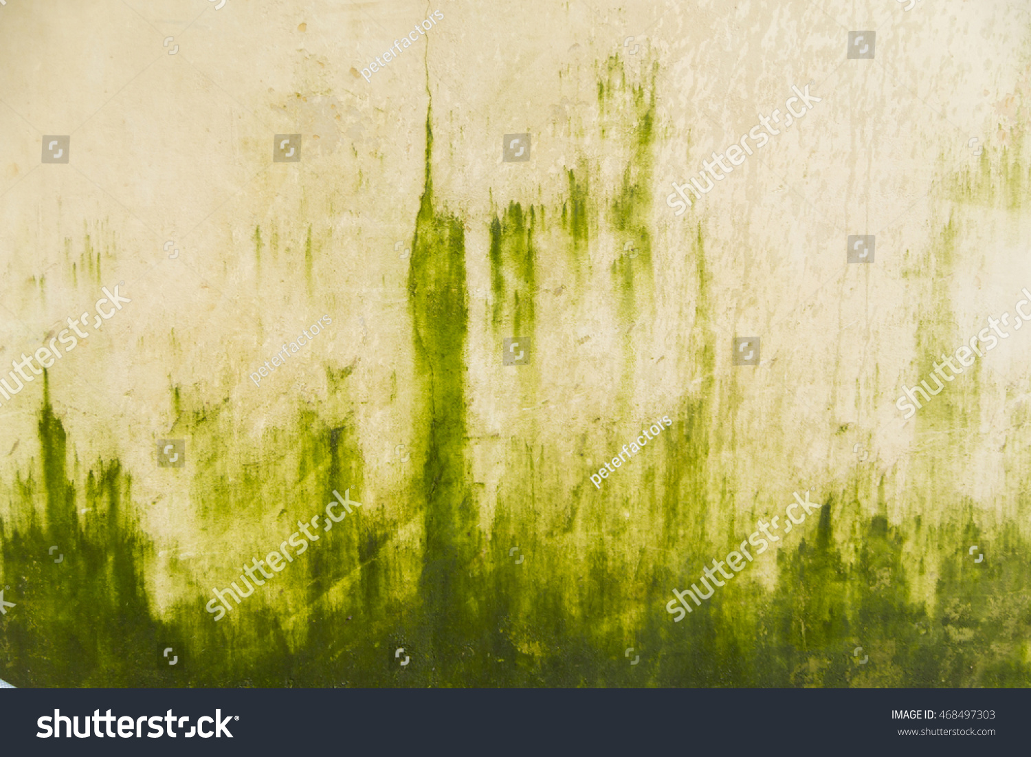 "Algae stains" - 3.855 Ảnh, vector và hình chụp có sẵn | Shutterstock
