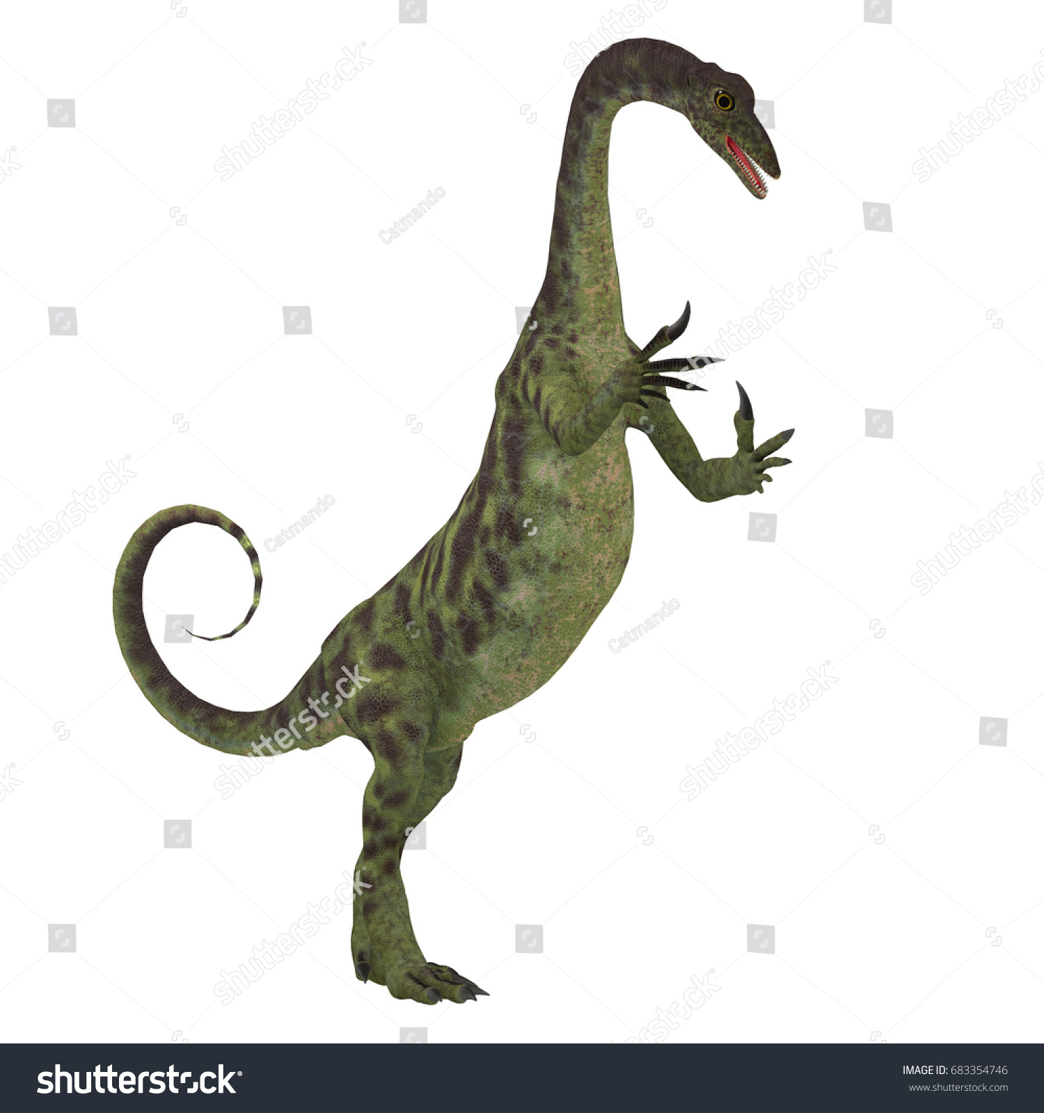 Anchisaurus Dinosaur On White 3d Illustration Stock Illustration ... Anchisaurus Dinosaur On White 3d Illustration Stock Illustration ...