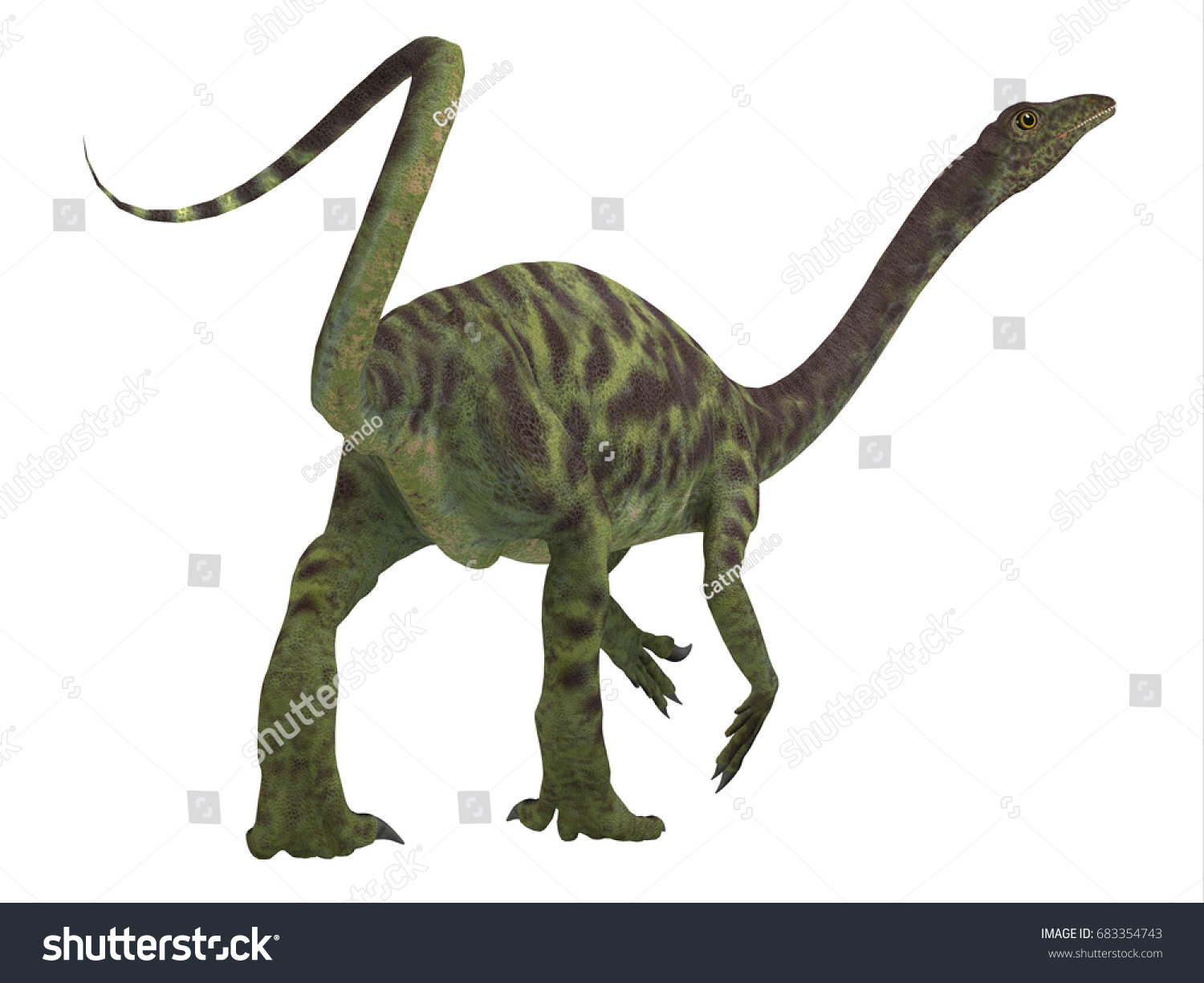 Anchisaurus Dinosaur Tail 3d Illustration Anchisaurus Stock ... Anchisaurus Dinosaur Tail 3d Illustration Anchisaurus Stock ...