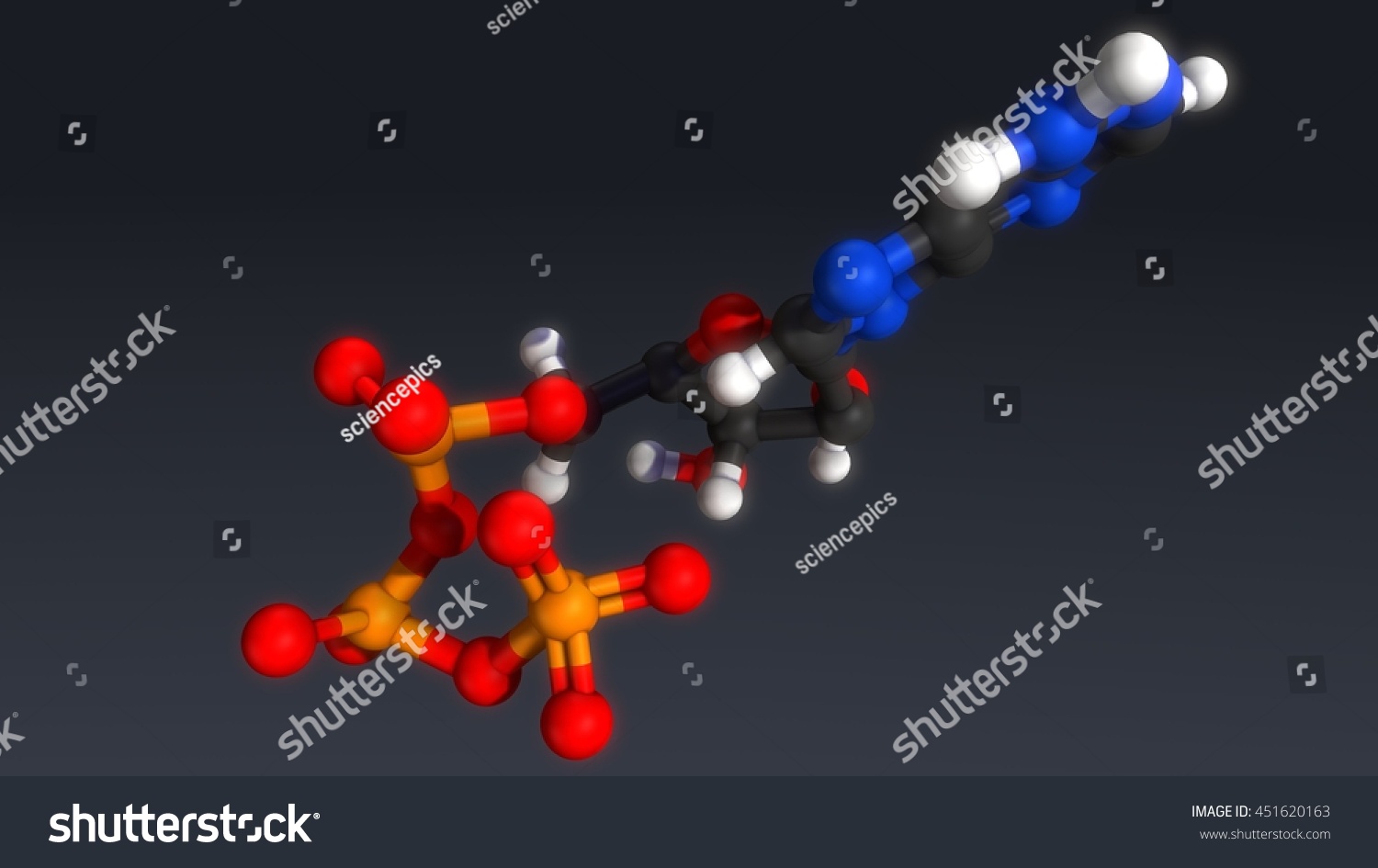 Atp Structure Stock Illustration 451620163 - Shutterstock