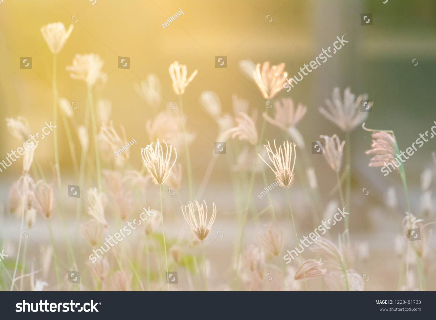 Backlight Screen Background Stock Photo (Edit Now) 1223481733