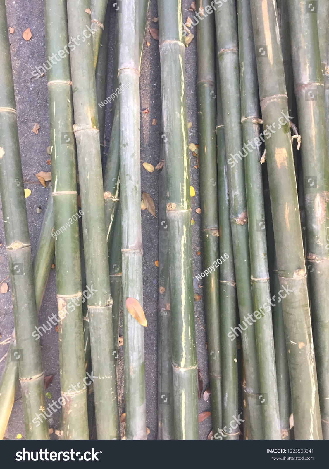 Bamboo Pattern Background Stock Photo 1225508341 | Shutterstock