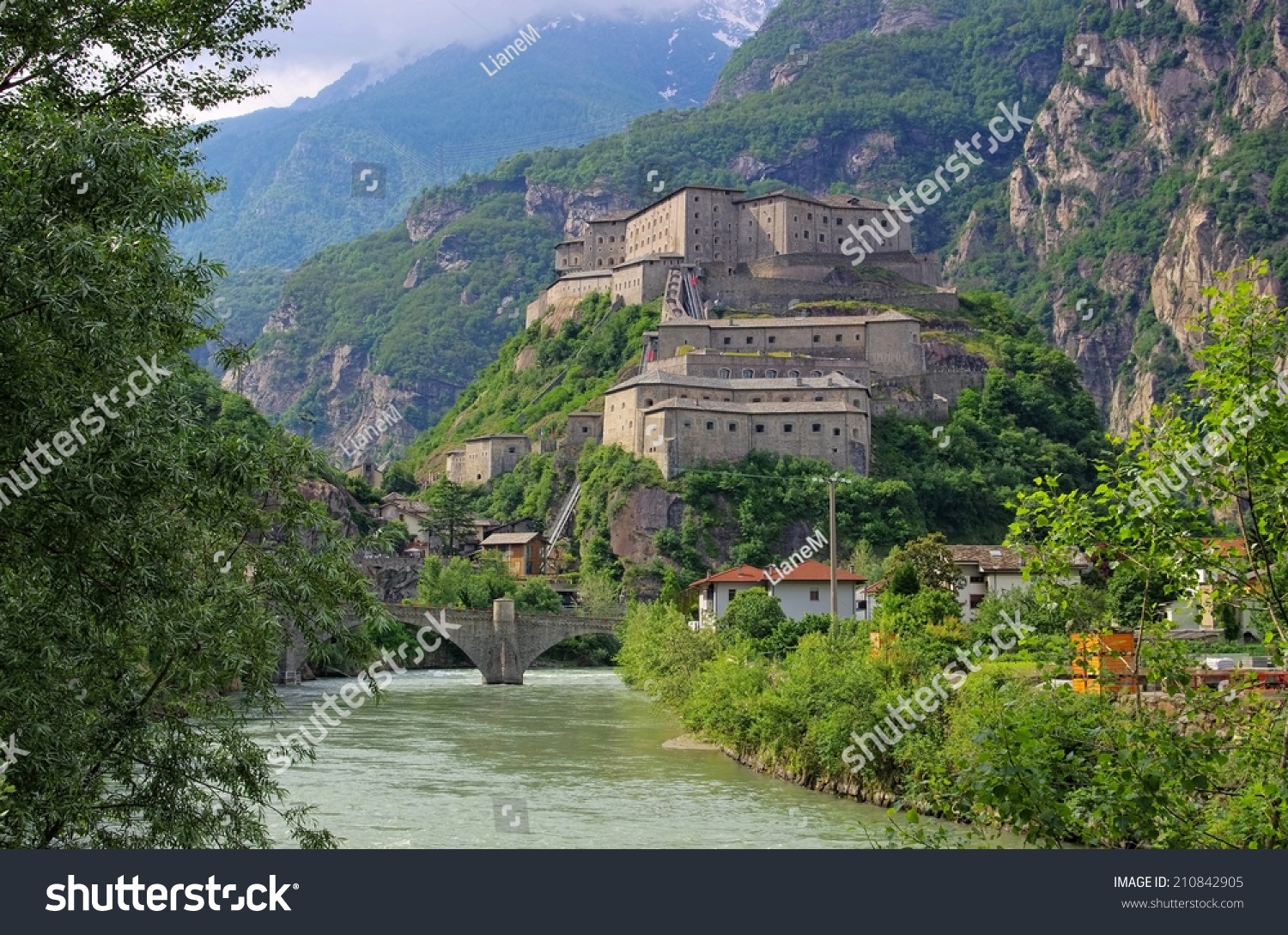 Bard Foto de stock 210842905 | Shutterstock