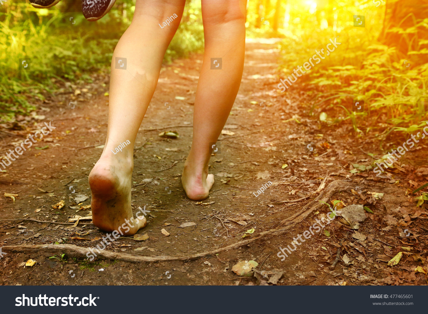 Bare Feet Walking Along Forest Path Stock Photo (Edit Now) 477465601 ... Bare Feet Walking Along Forest Path Stock Photo (Edit Now) 477465601 ...