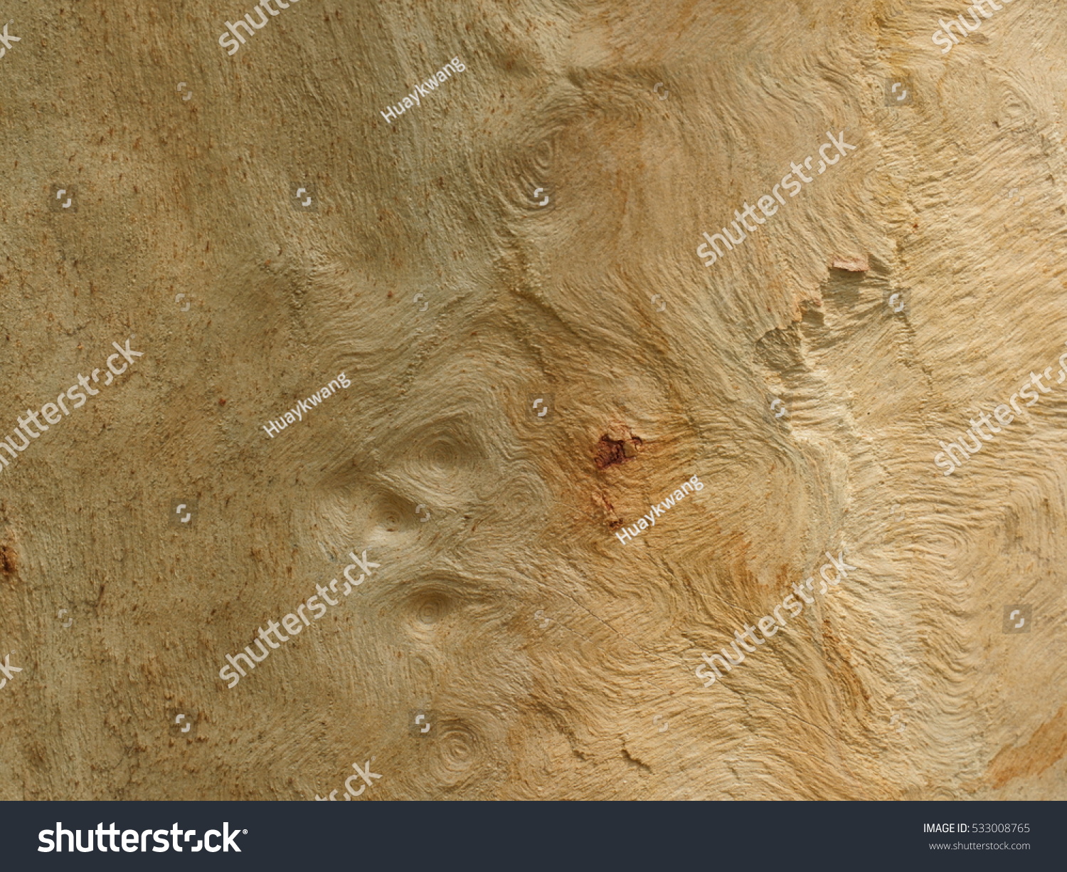 358 Barkless tree Images, Stock Photos & Vectors | Shutterstock