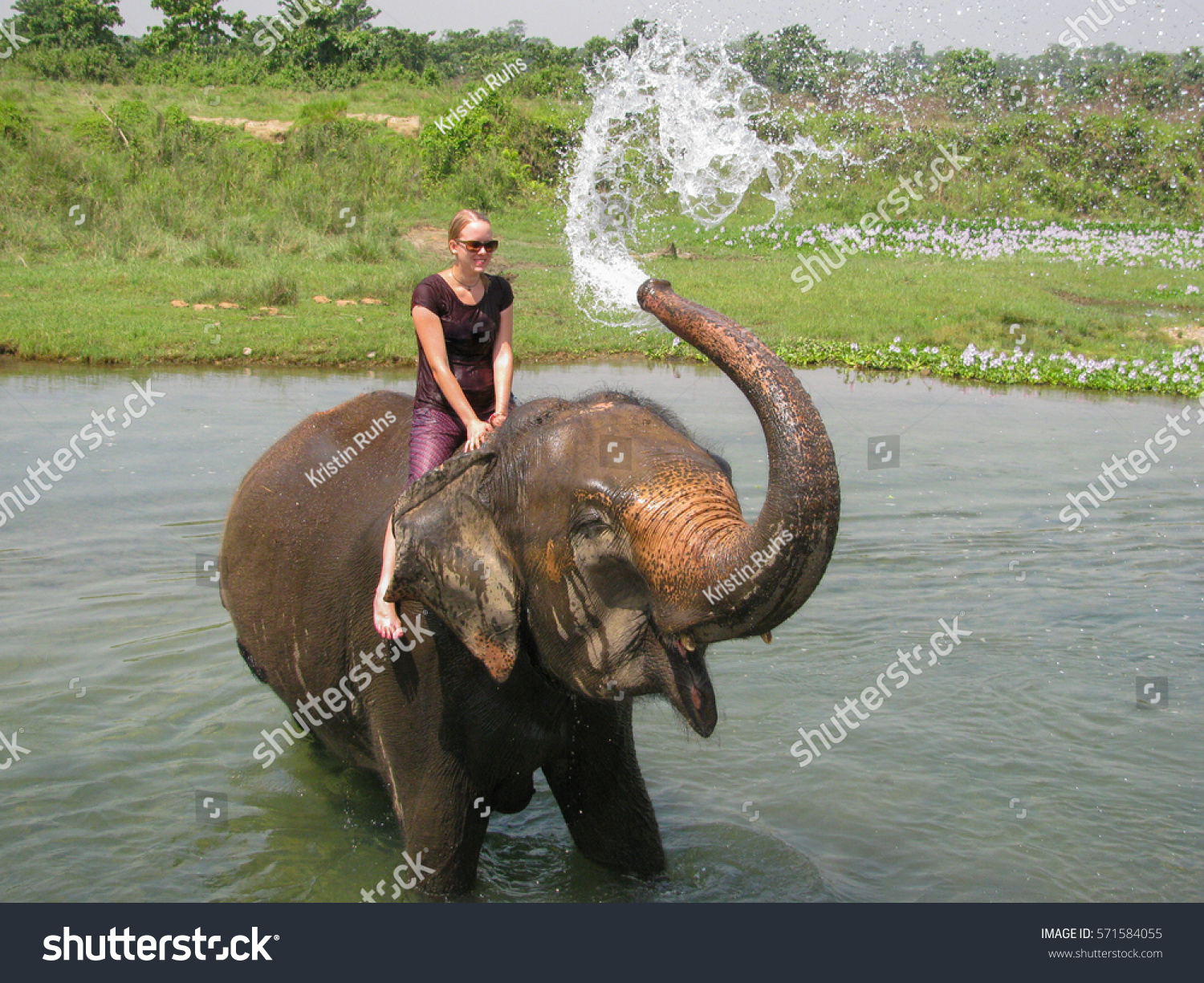 Happy Bathing Elephant Cub