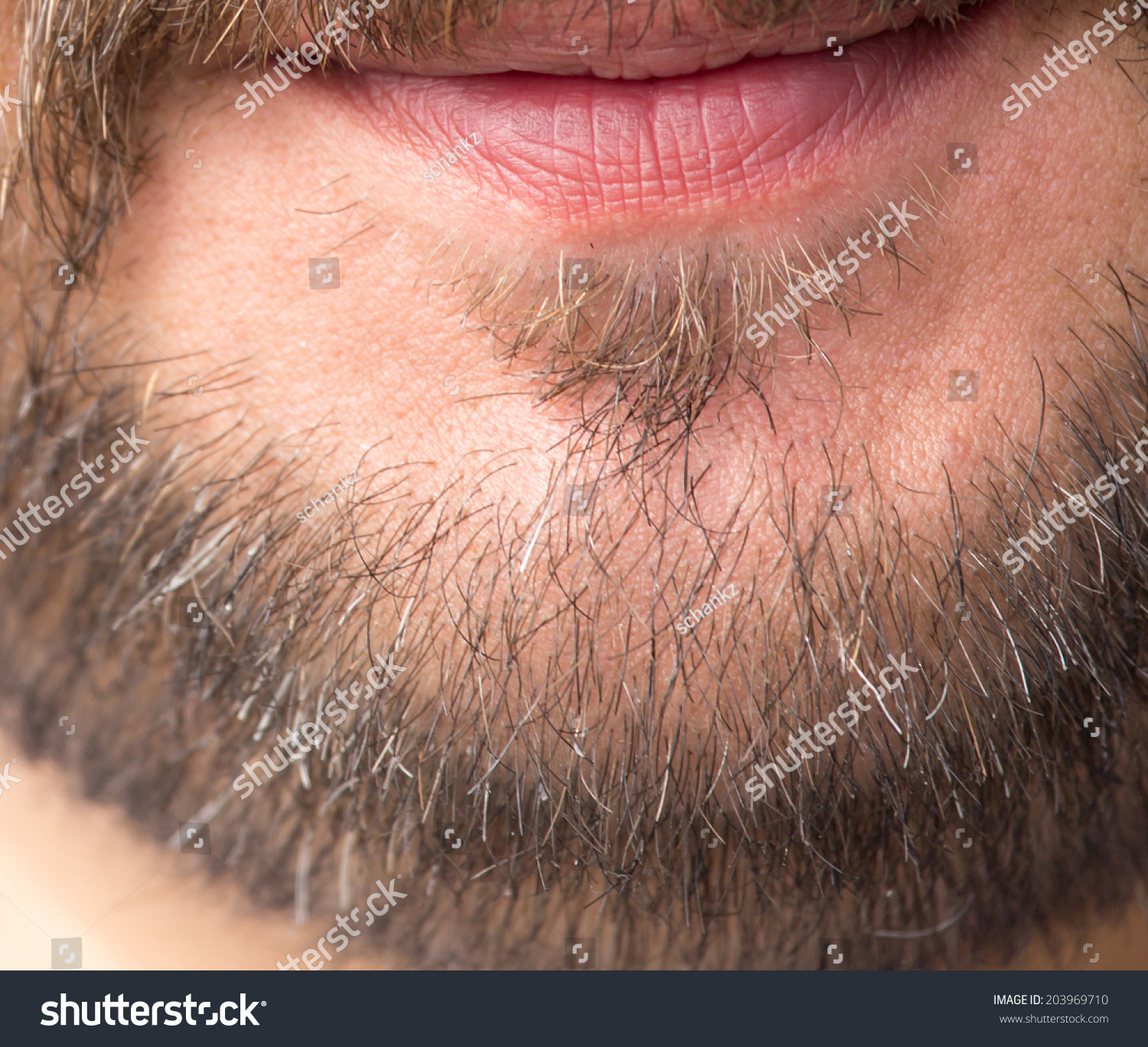 Beard Macro Stock Photo 203969710 | Shutterstock