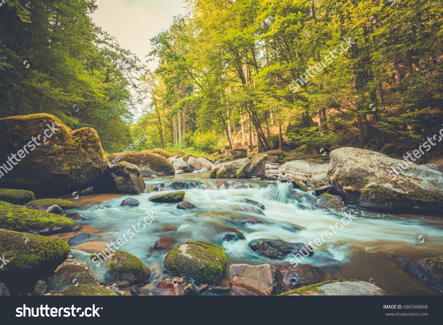 Beautiful River Forest Nature Peaceful Toned Stock Photo 686568868 ... Beautiful River Forest Nature Peaceful Toned Stock Photo 686568868 ...