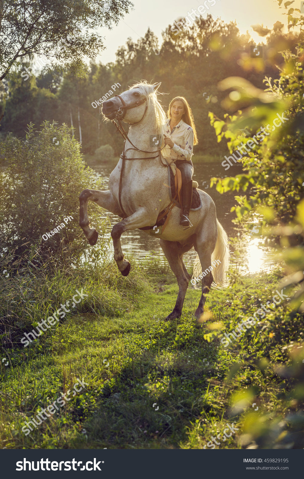 Beautiful Young Woman Riding Horse On Stock Photo 459829195 | Shutterstock Beautiful Young Woman Riding Horse On Stock Photo 459829195 | Shutterstock