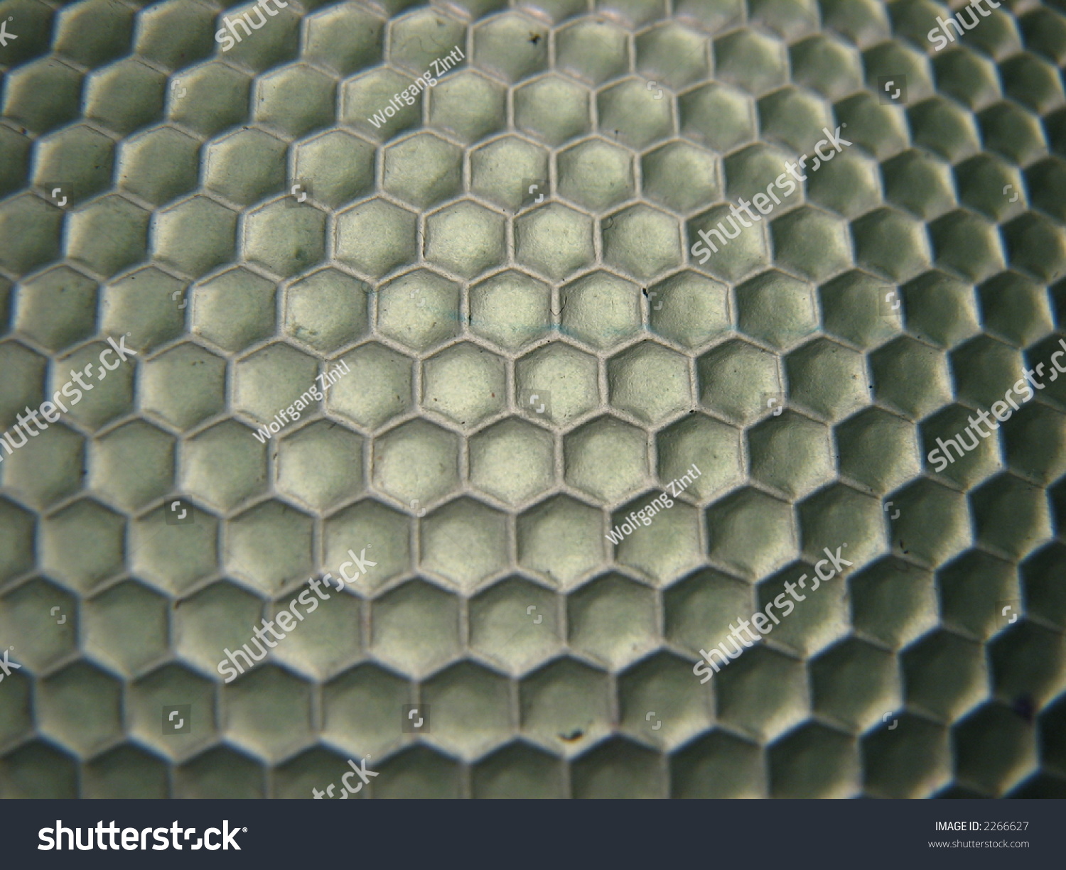 Bee Hive Structure Stock Photo 2266627 : Shutterstock