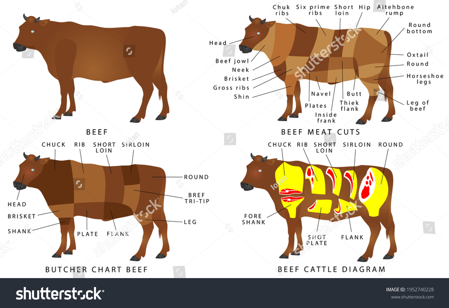 Beef Chart Beef Cuts Diagram Scheme ภาพประกอบสต็อก 1952740228 Shutterstock