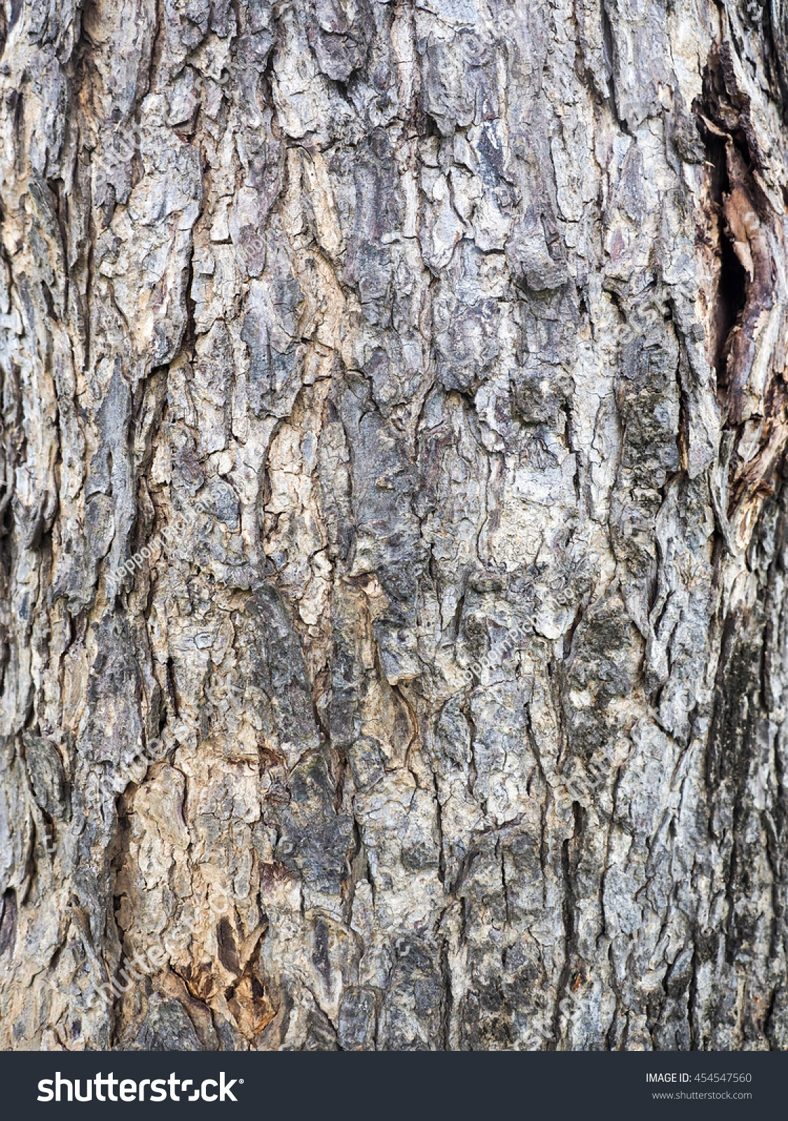 Bole Texture Stock Photo (Edit Now) 454547560
