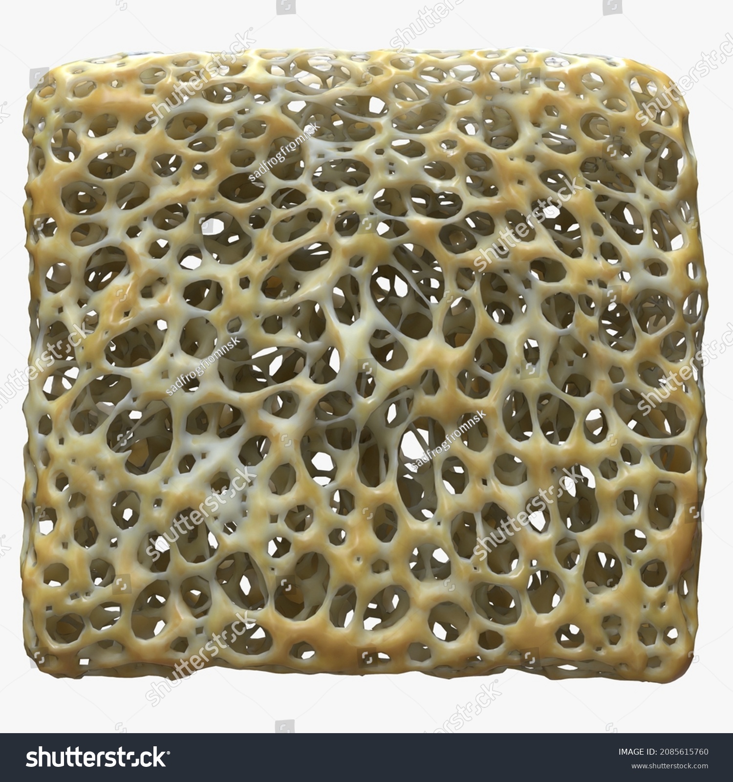 Bone Matrix Rectangle 3d Model Stock Illustration 2085615760 | Shutterstock