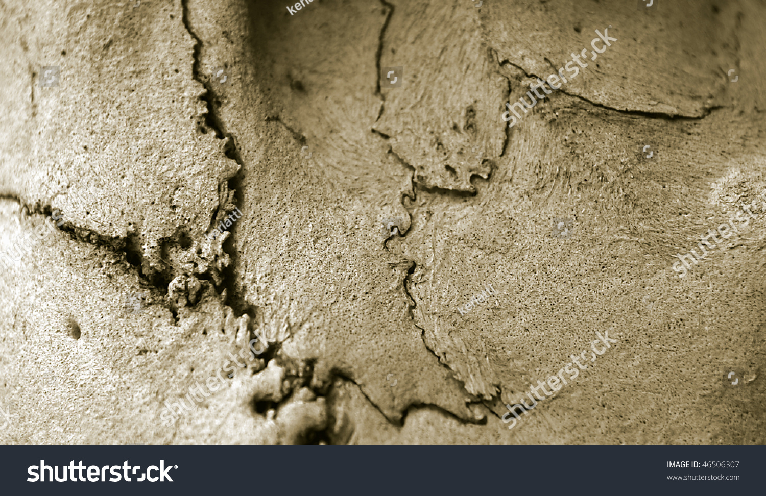 Bone Skull Texture Stock Photo 46506307 - Shutterstock
