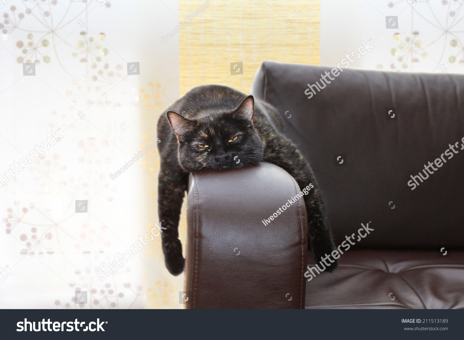 28,734 Bored animal Images, Stock Photos & Vectors | Shutterstock