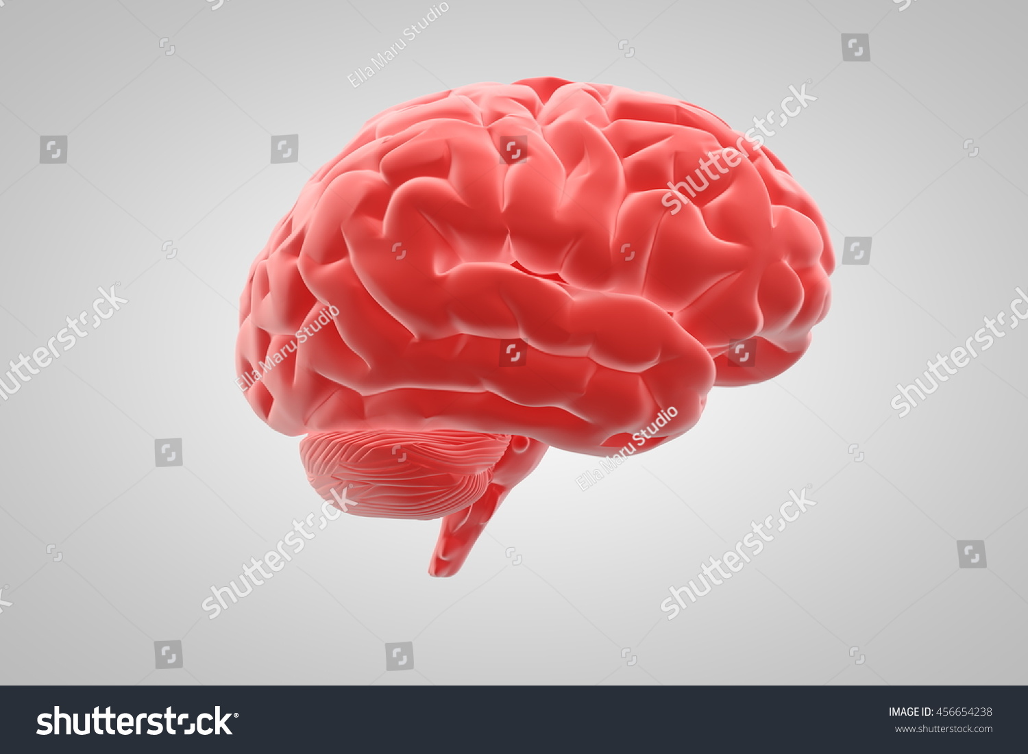 Brain 3d Render Stock Illustration 456654238 | Shutterstock
