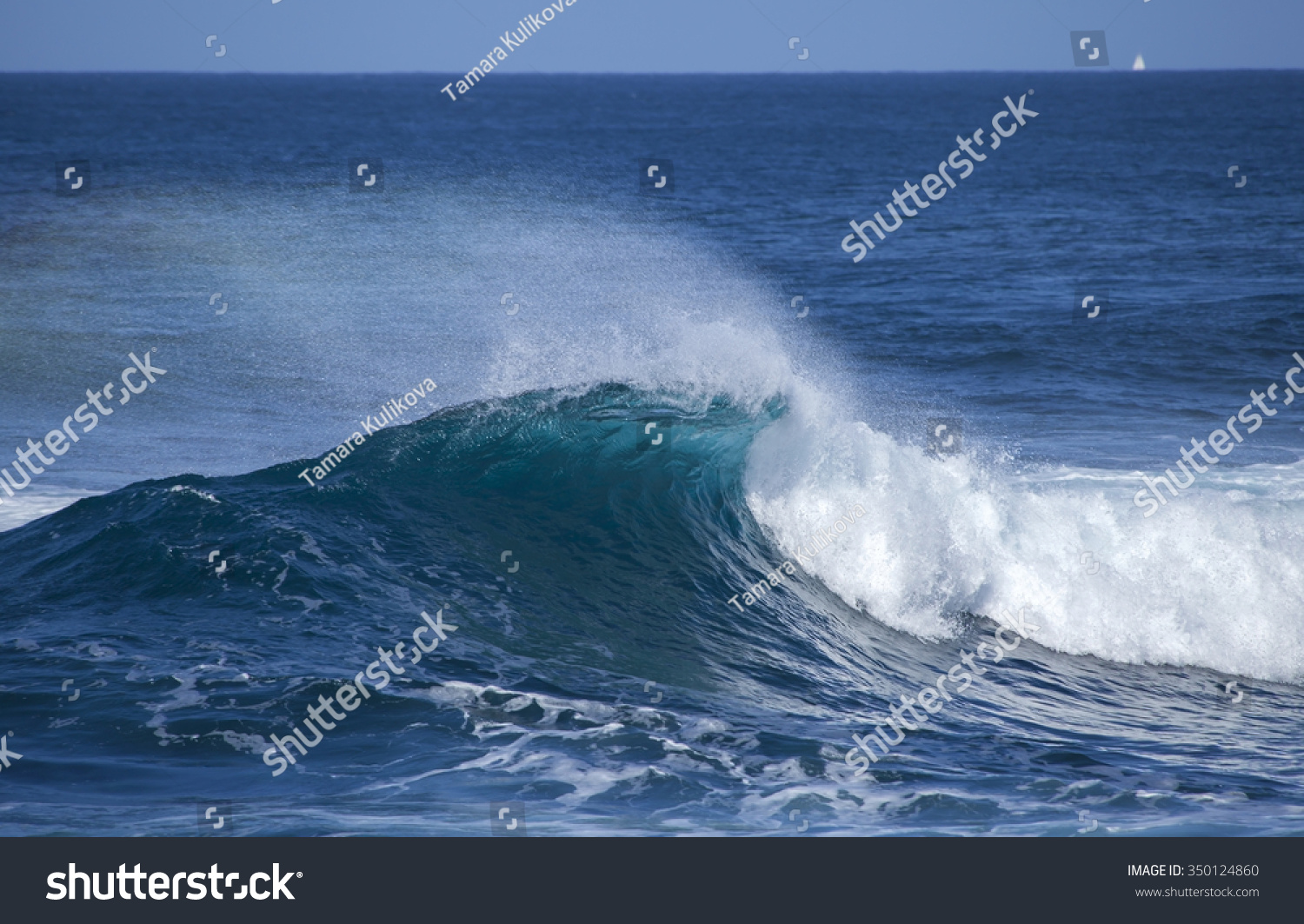 Breaking Waves Stock Photo 350124860 | Shutterstock