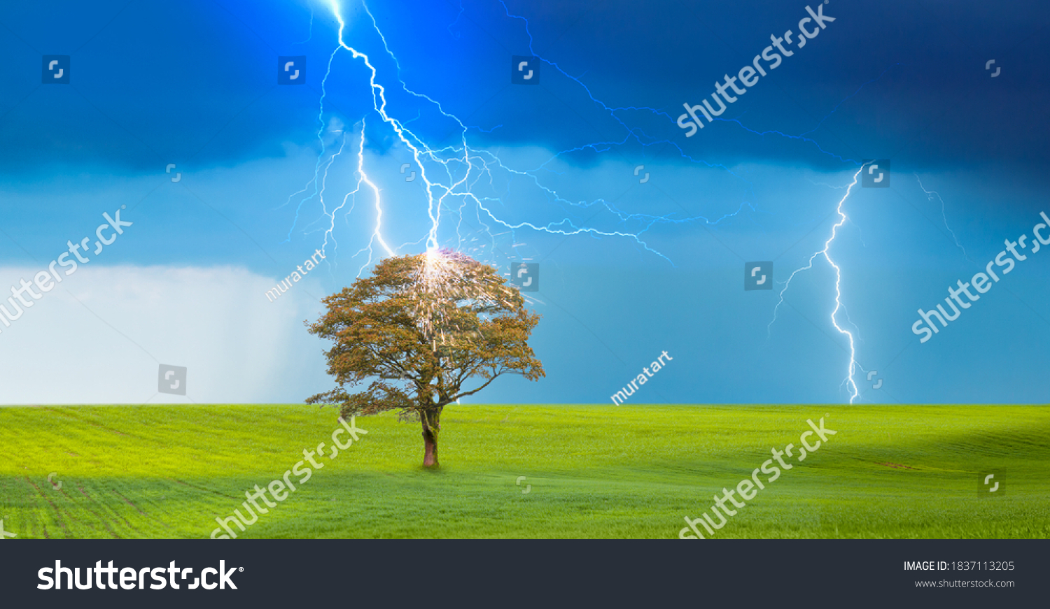 2,555 Lightning strikes tree Images, Stock Photos & Vectors | Shutterstock 2,555 Lightning strikes tree Images, Stock Photos & Vectors | Shutterstock