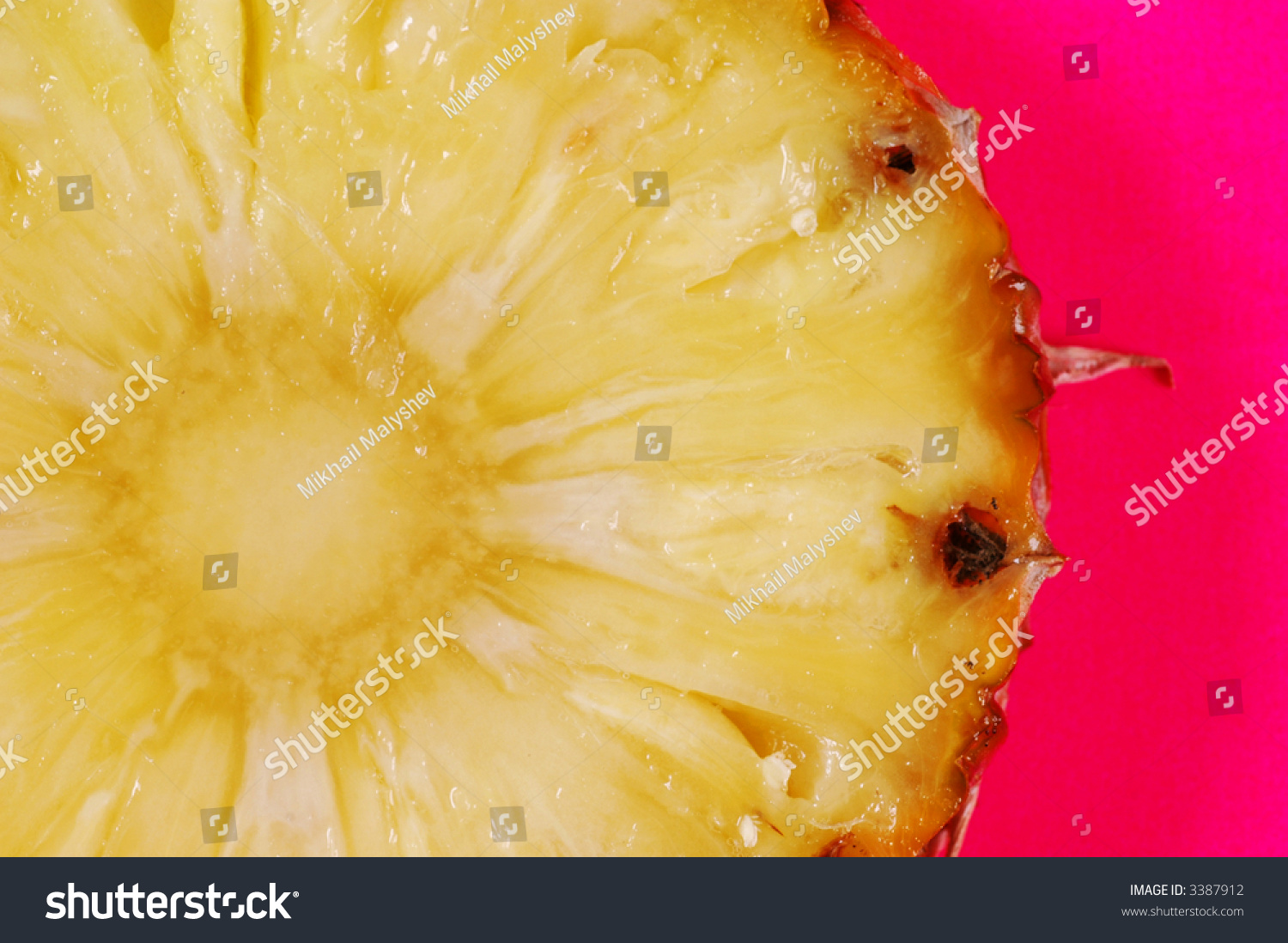 Brite Tatsty Pineapple Slice Stock Photo 3387912 - Shutterstock