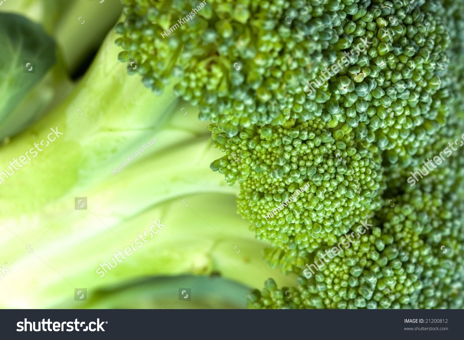 Broccoli Vegetable Macro Stock Photo (Edit Now) 21200812 - Shutterstock