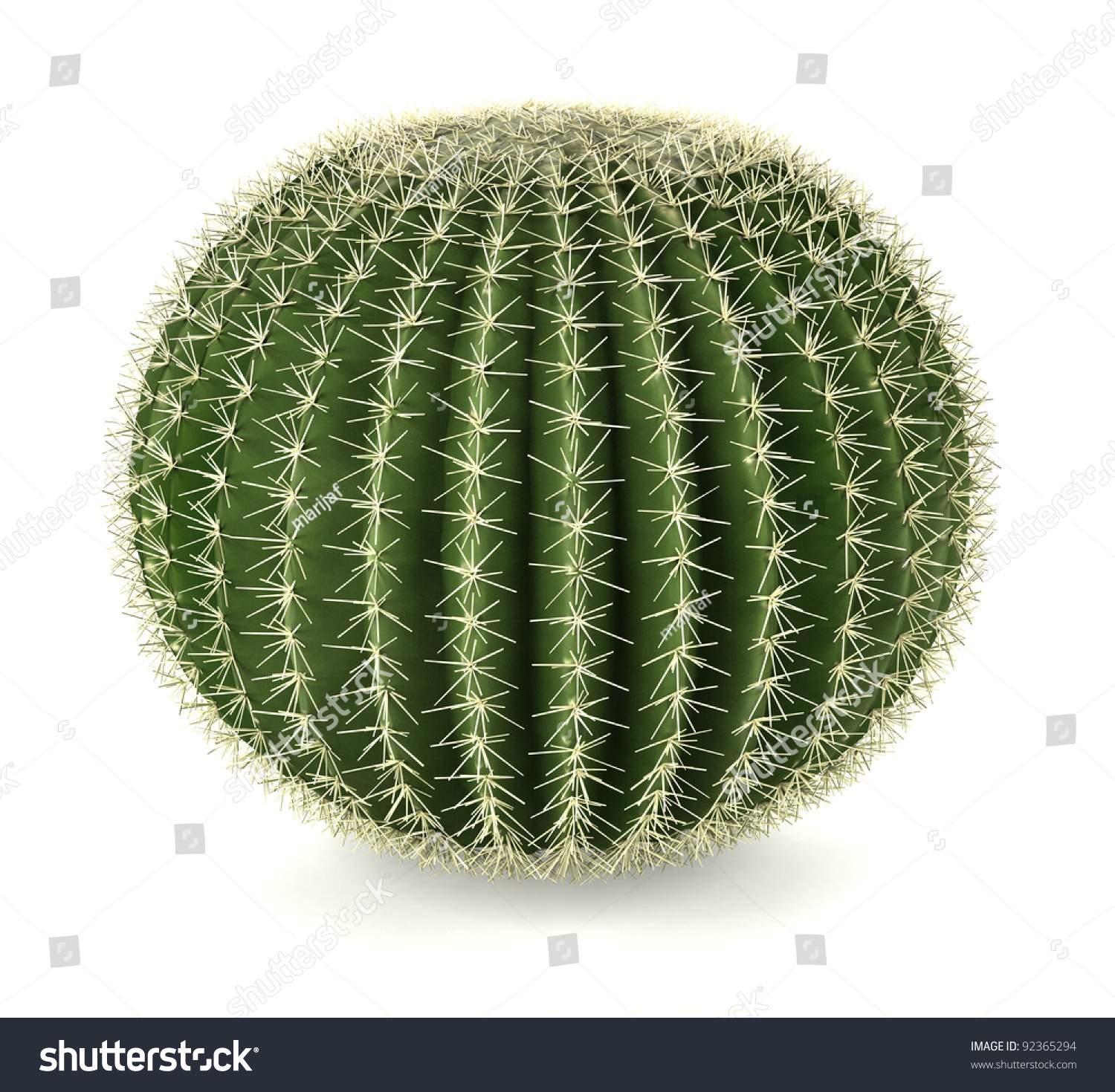 60,901 Round cactus Images, Stock Photos & Vectors | Shutterstock