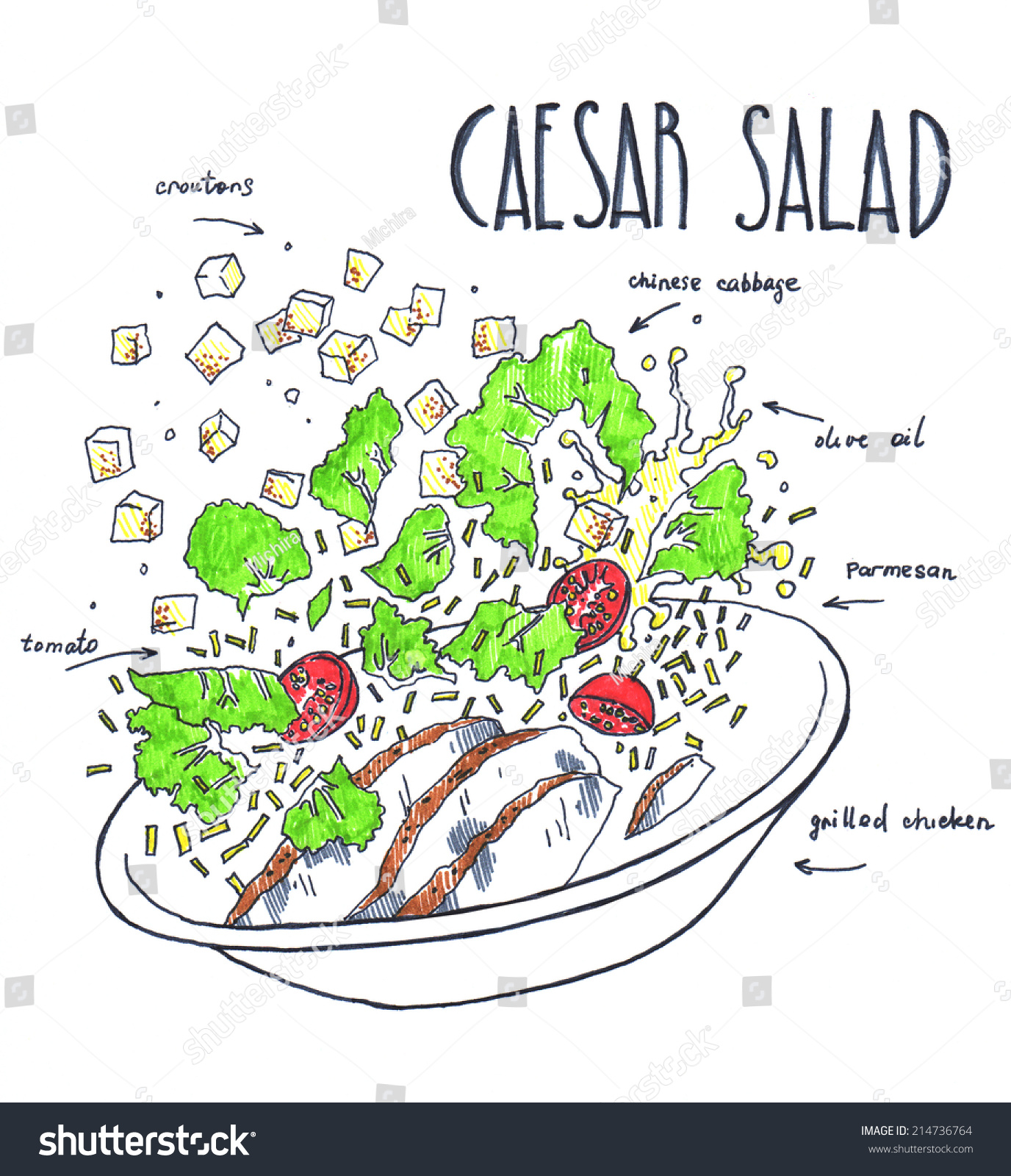 Caesar Salad Stock Illustration 214736764 | Shutterstock