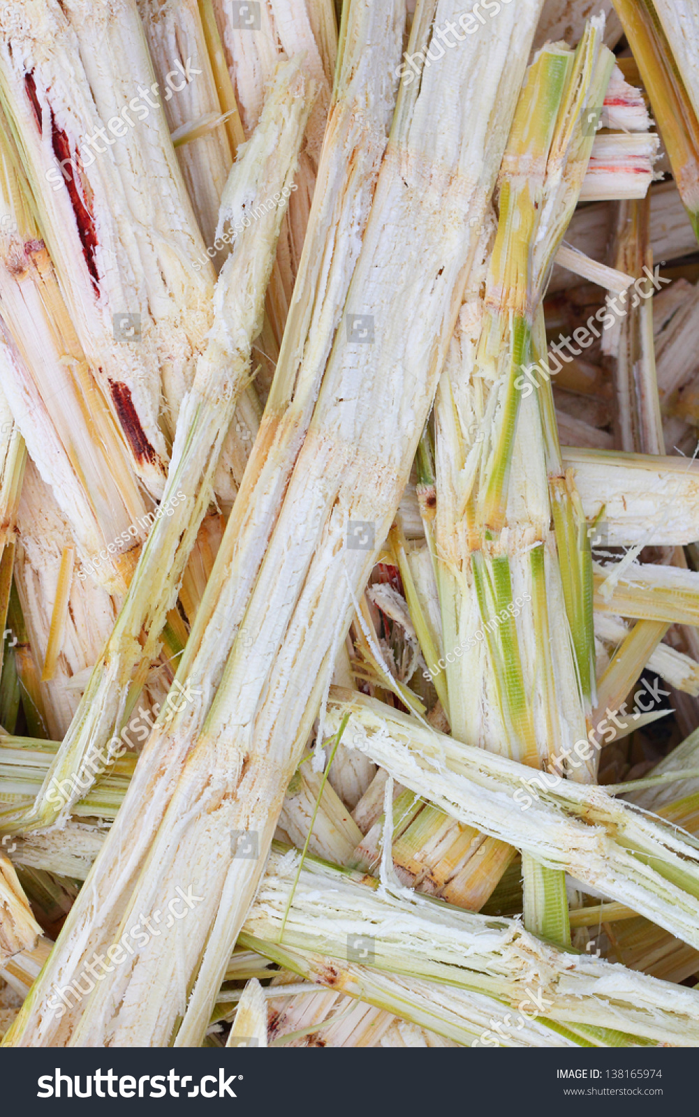 Cane Background Stock Photo 138165974 | Shutterstock
