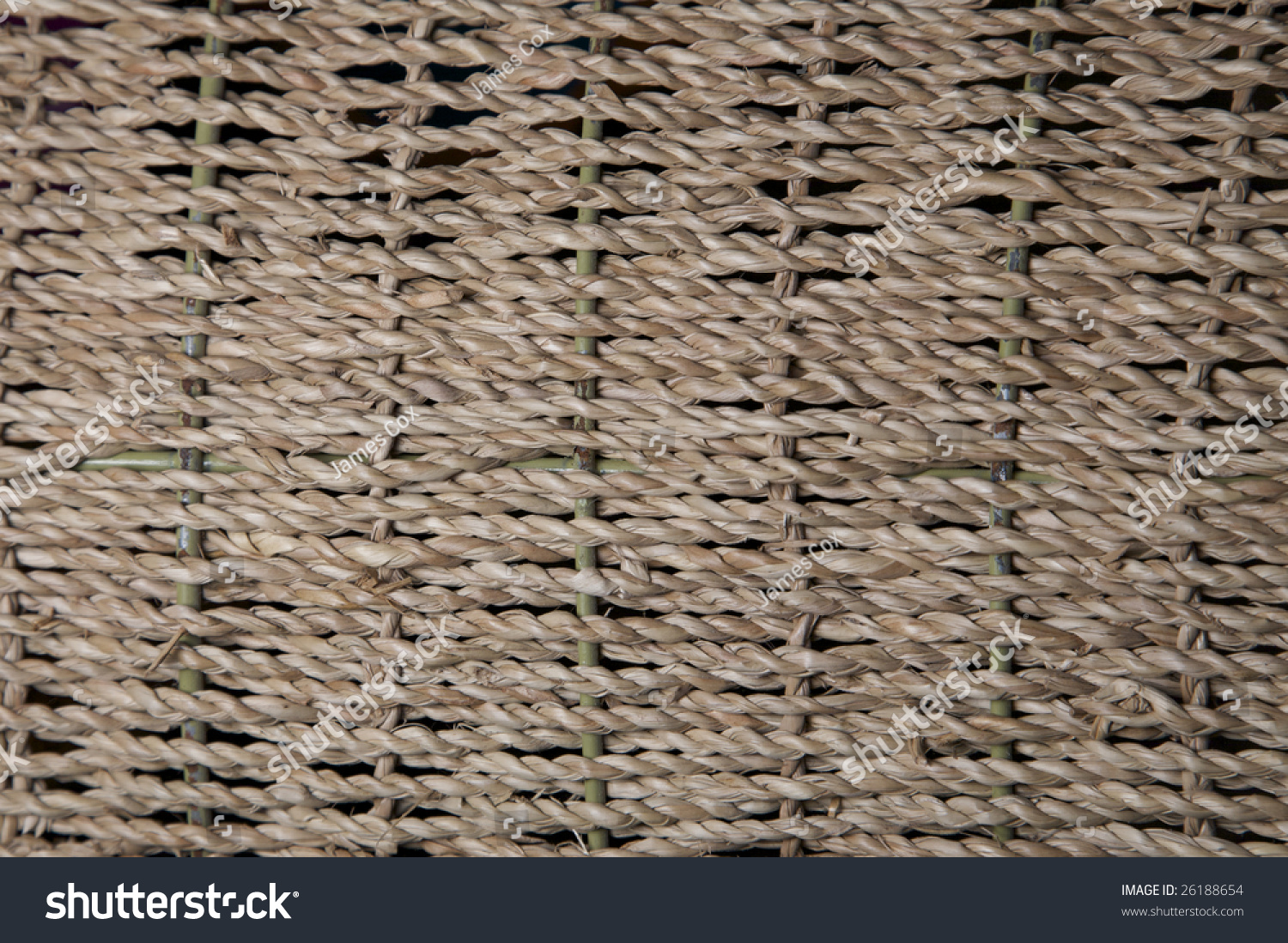 Cane Background Texture Stock Photo 26188654 | Shutterstock