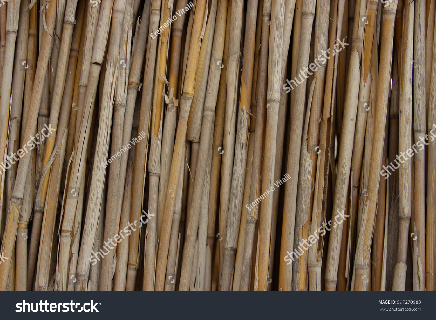 Cane Texture Stock Photo 597270983 | Shutterstock