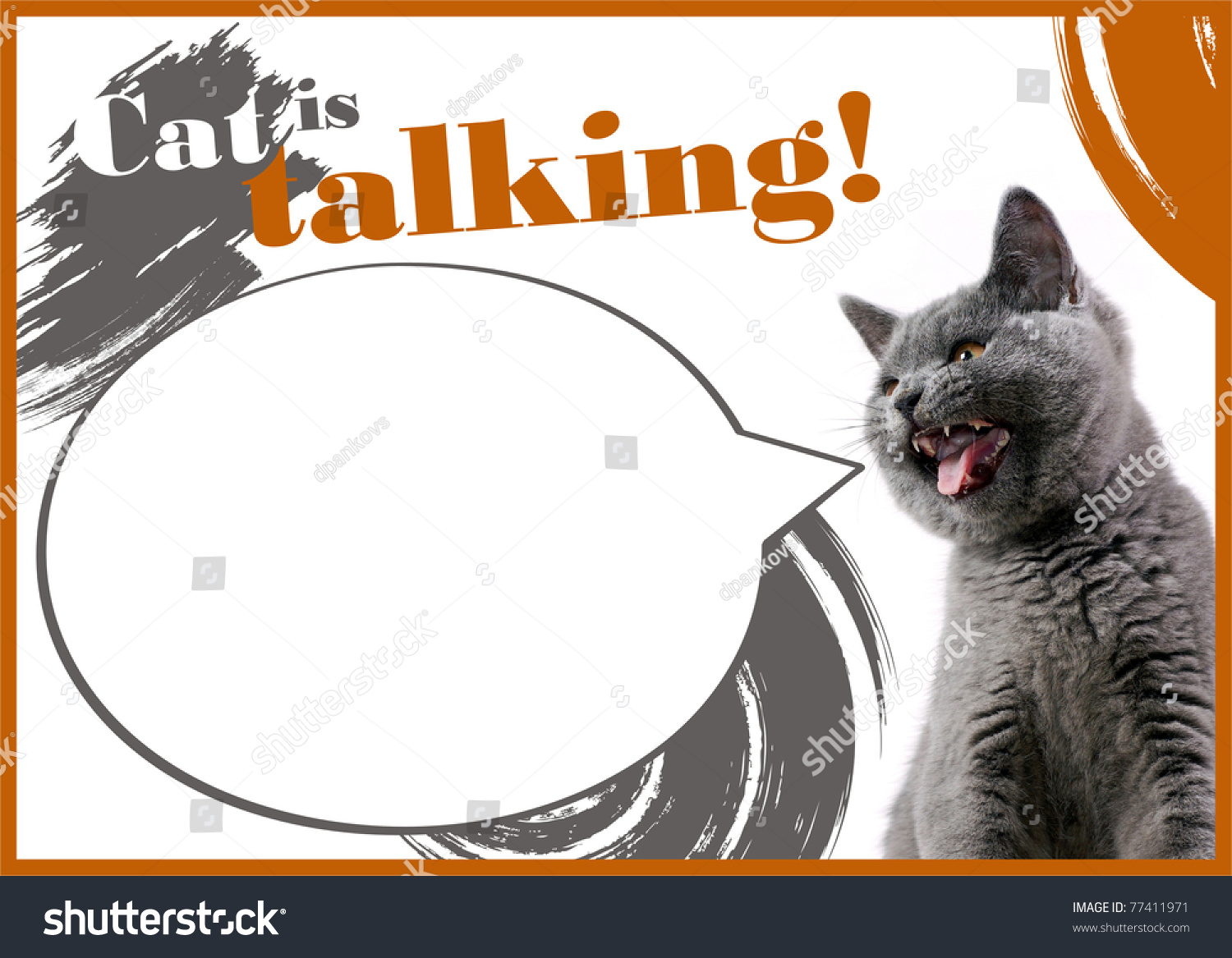 Cats Posters Samples Stock Photo 77411971 | Shutterstock