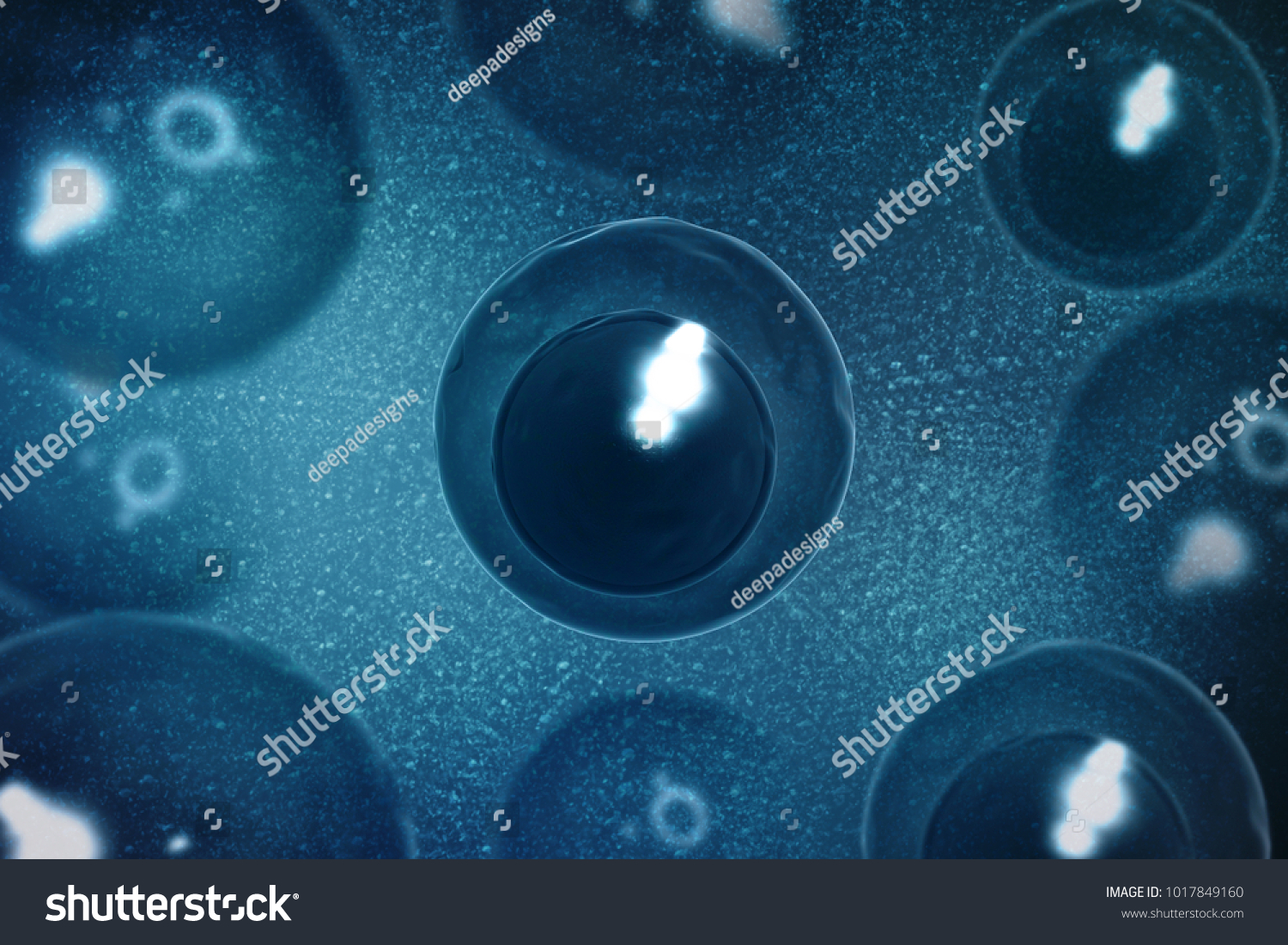 Cell 3d Rendering Cells Under Microscope Stock Illustration 1017849160 ...