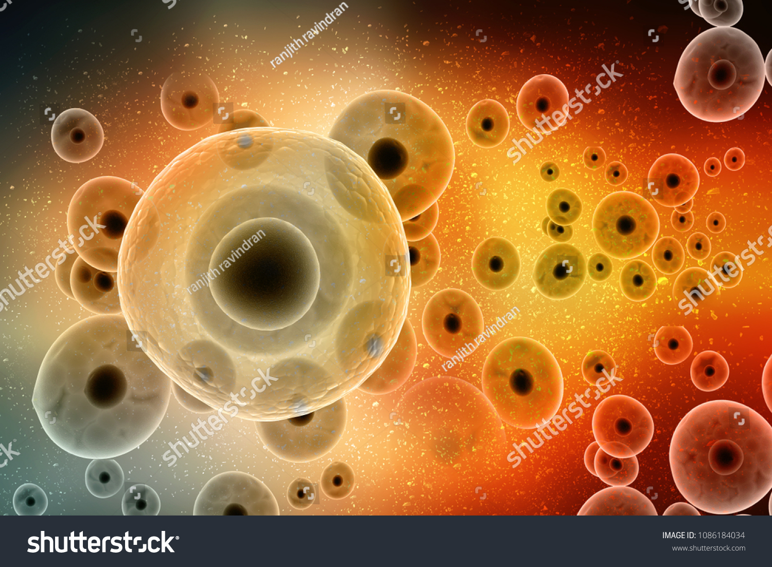 Cell 3d Rendering Cells Under Microscope : illustration de stock ...