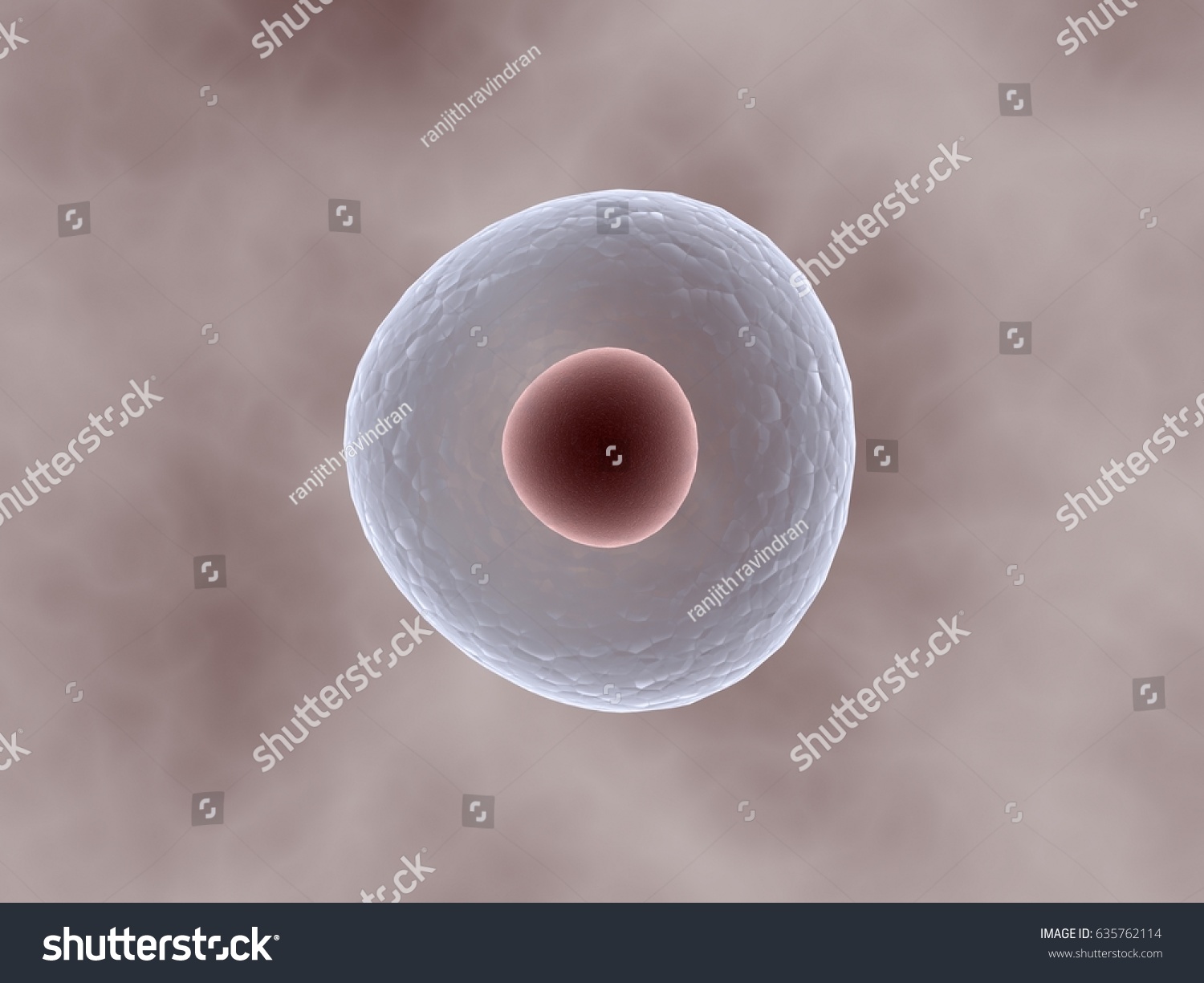 Cell 3d Rendering Cells Under Microscope Stock Illustration 635762114