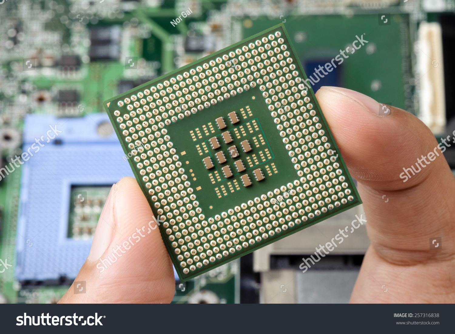 Central Processing Unit Cpu Human Hand Stock Photo 257316838 | Shutterstock