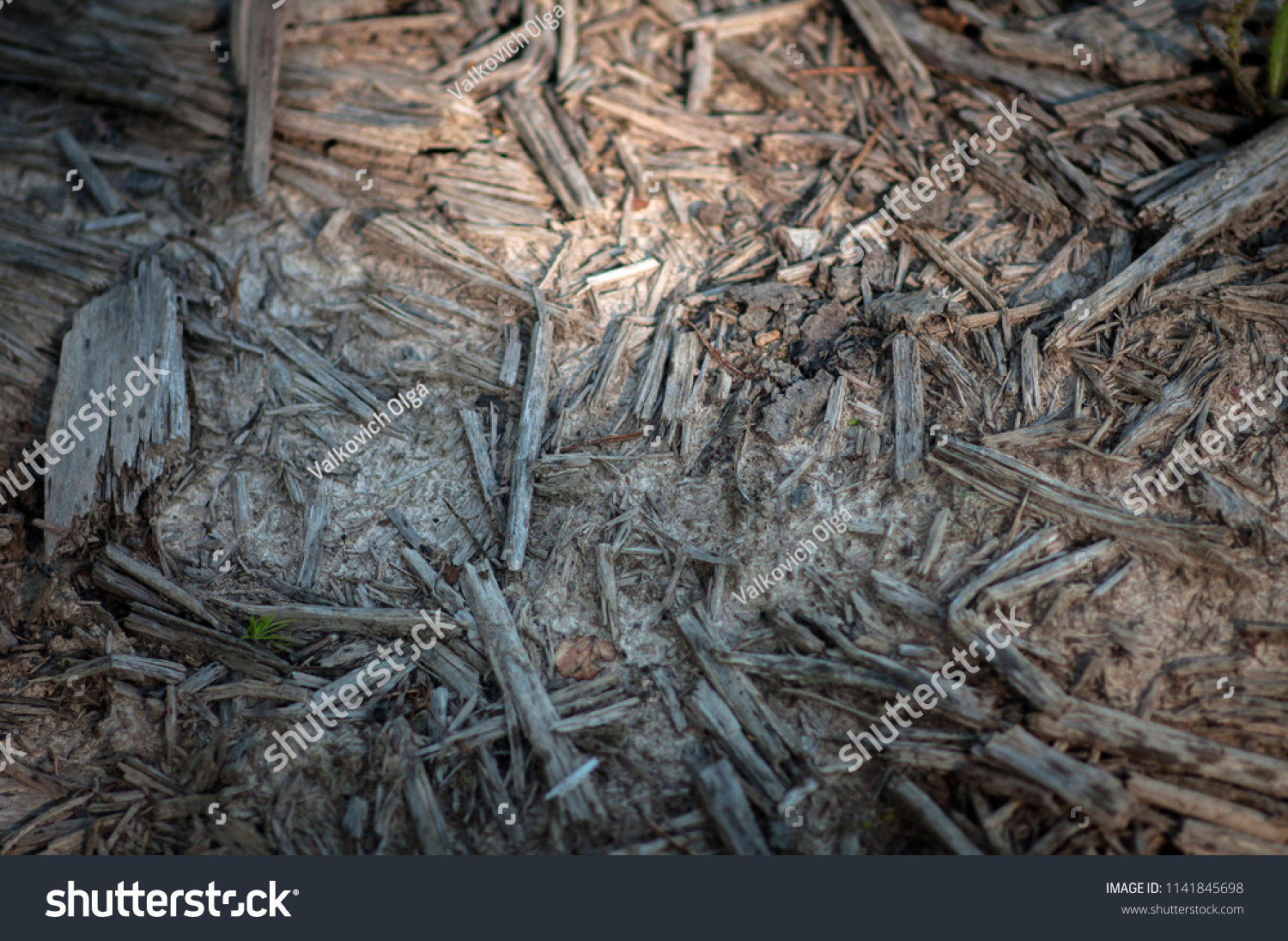 Chip Splinter Texture Stock Photo (Edit Now) 1141845698